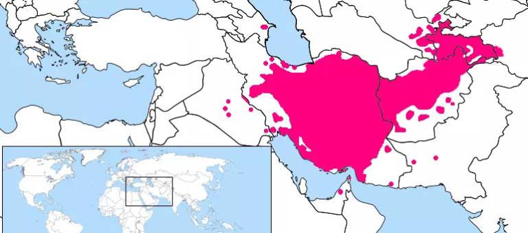 Benefits of learning Persian (Farsi)